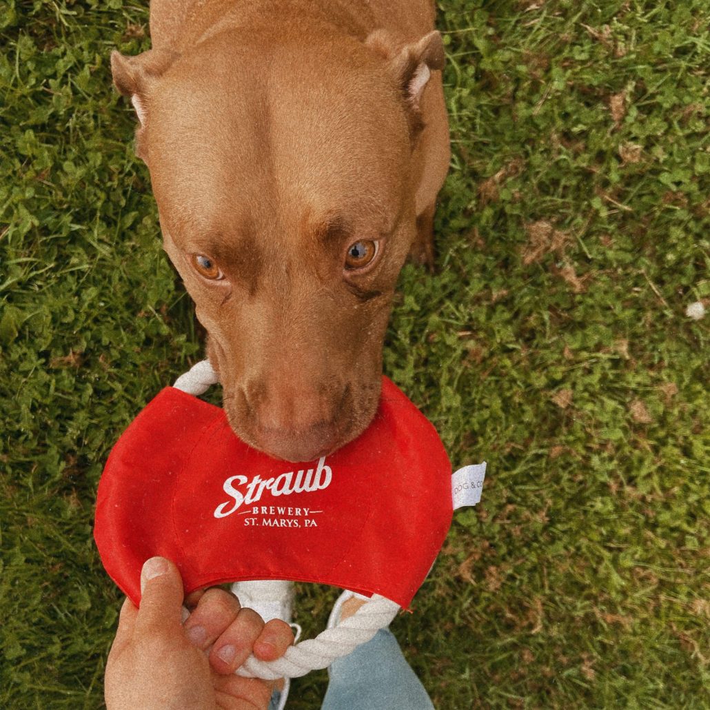 Dog Archives - Straub Brewery